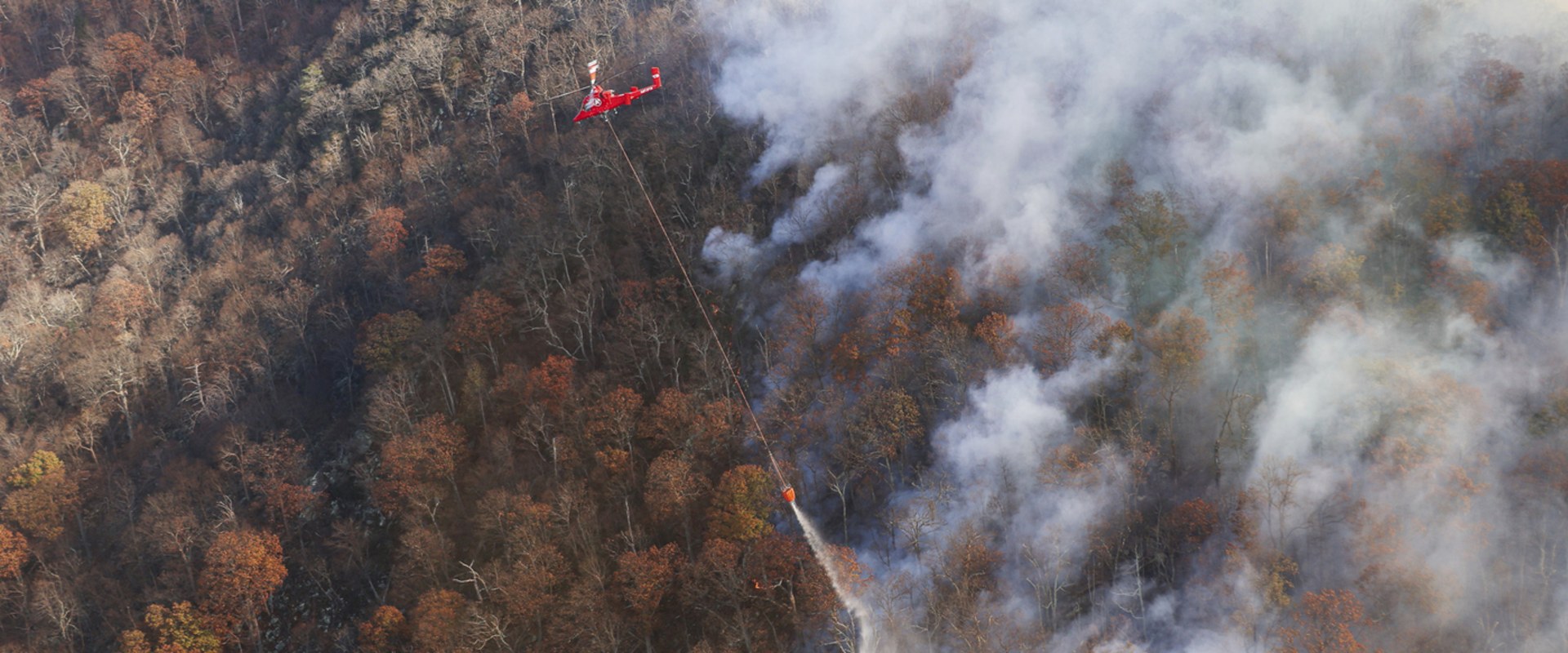 The Essential Protocol for Responding to Wildfires in Northern Virginia