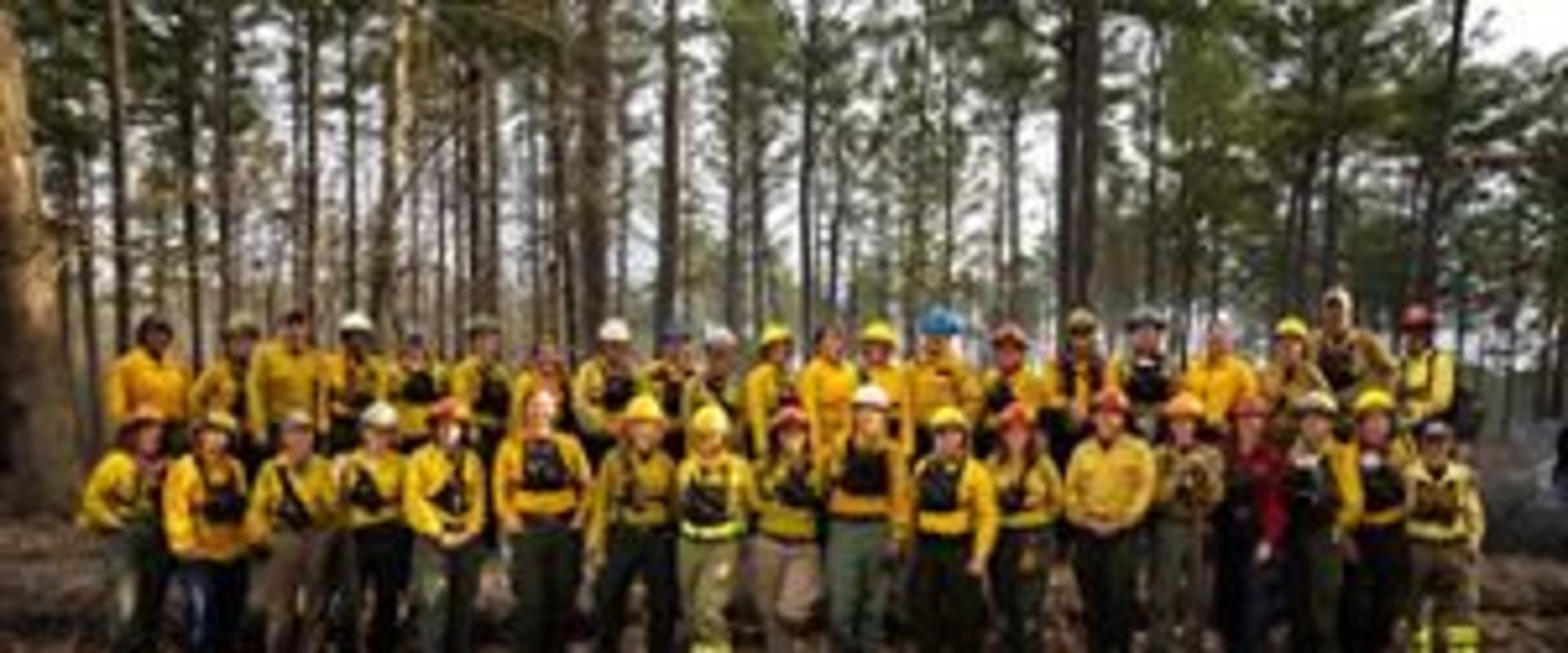 The Importance of Community Outreach Programs Offered by Fire Services ...